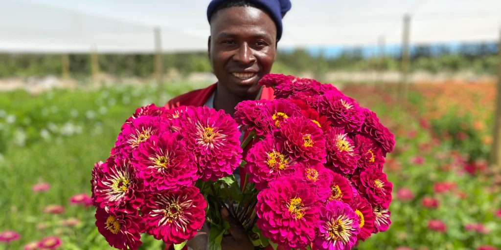 Adene's Farm Flowers elevate mundane to the sublime | Superyacht Cape Town